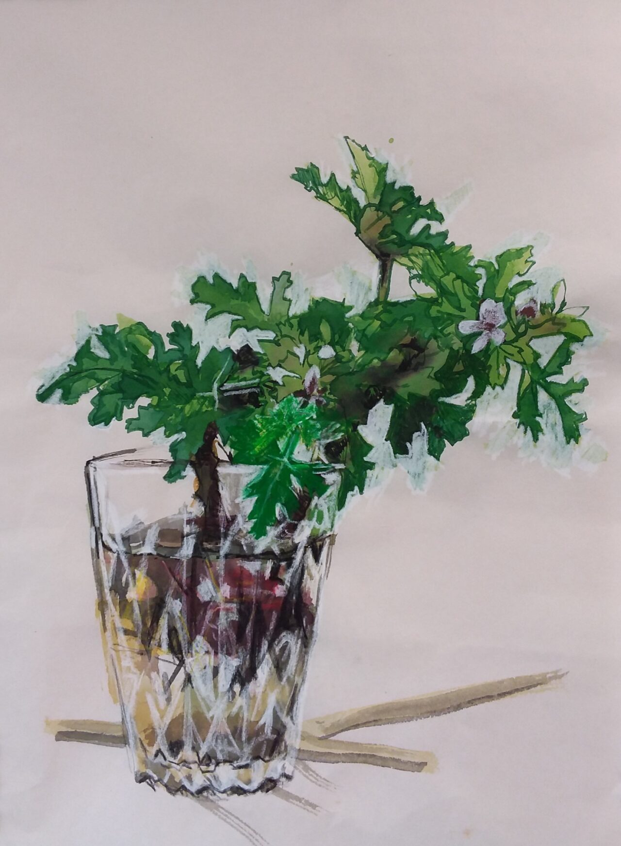 50 shades of Geranium Study 5 - Rieteka Geursen
